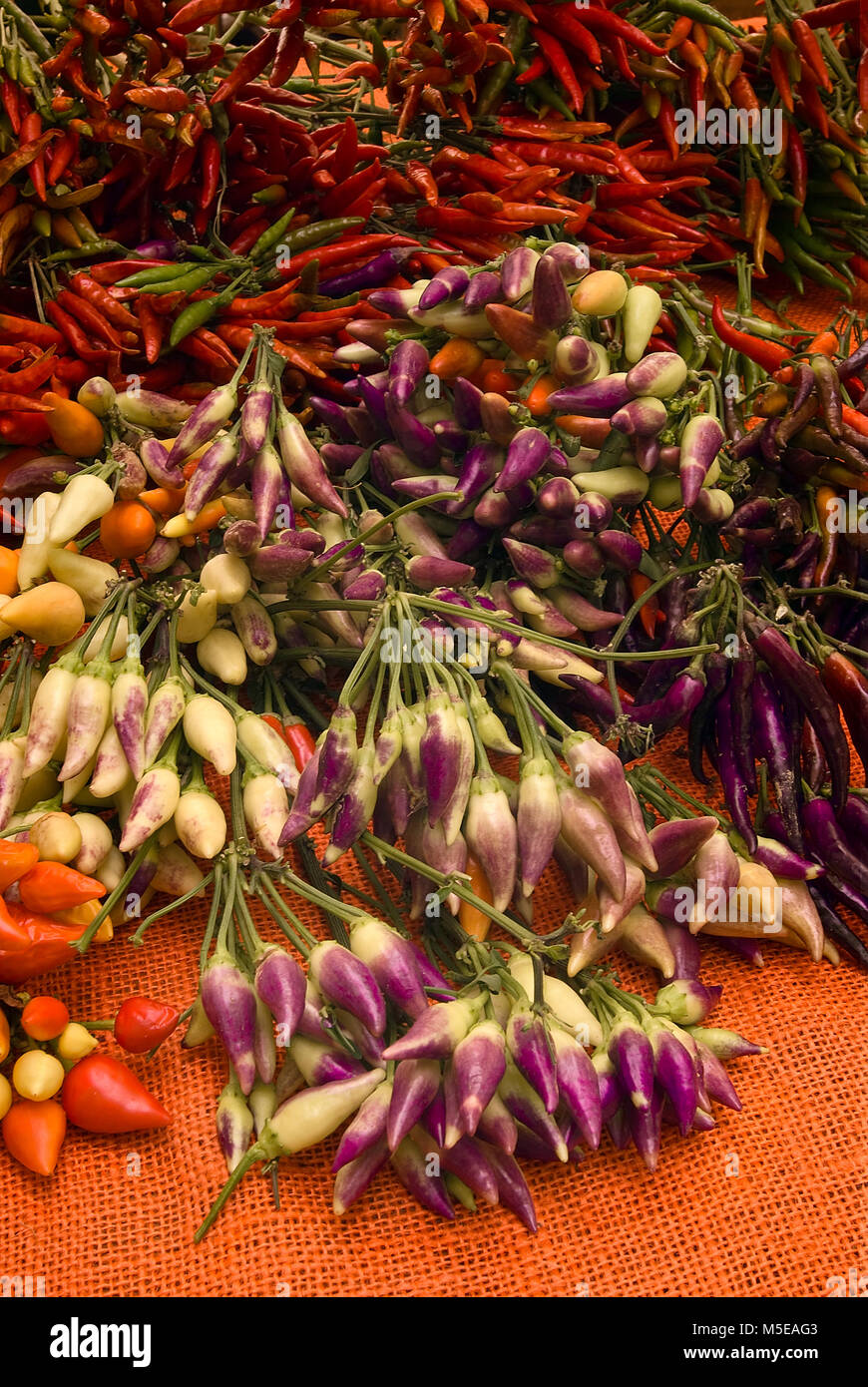 color assorted hot peppers on the table Stock Photo - Alamy