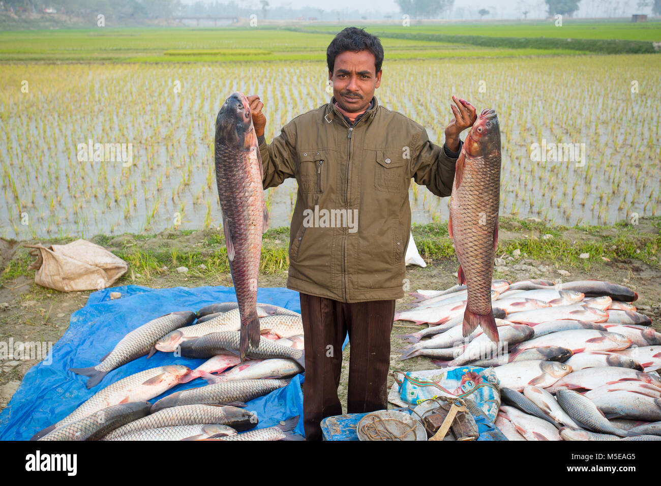 Sellers display verities of big size of river fishes at ‘Poradaha Mela ...