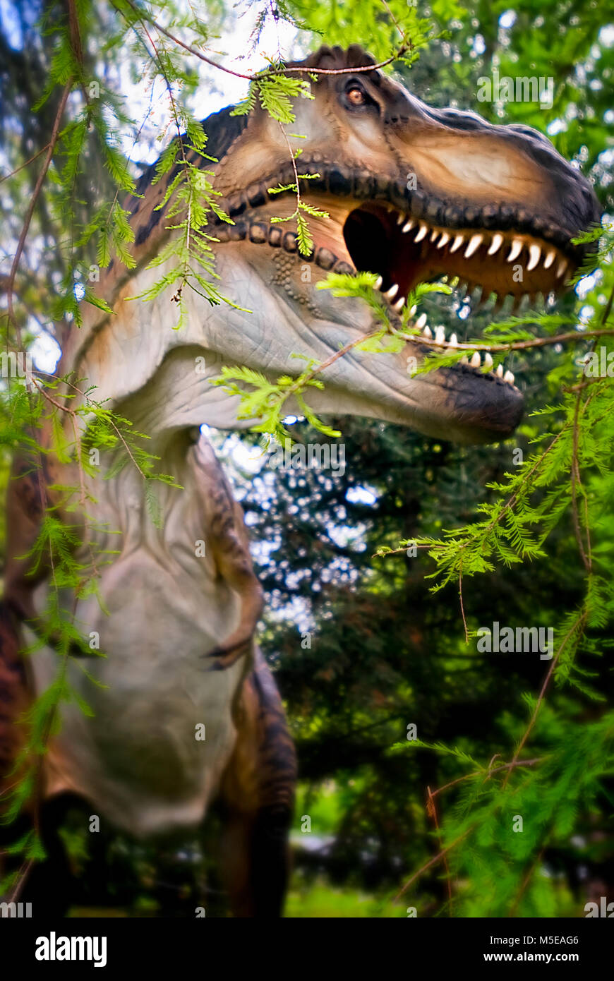 Dinosaurus rex hi-res stock photography and images - Alamy