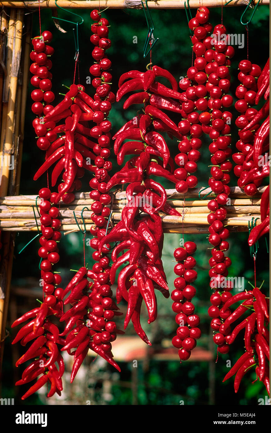 Hanging chilis hi-res stock photography and images - Alamy