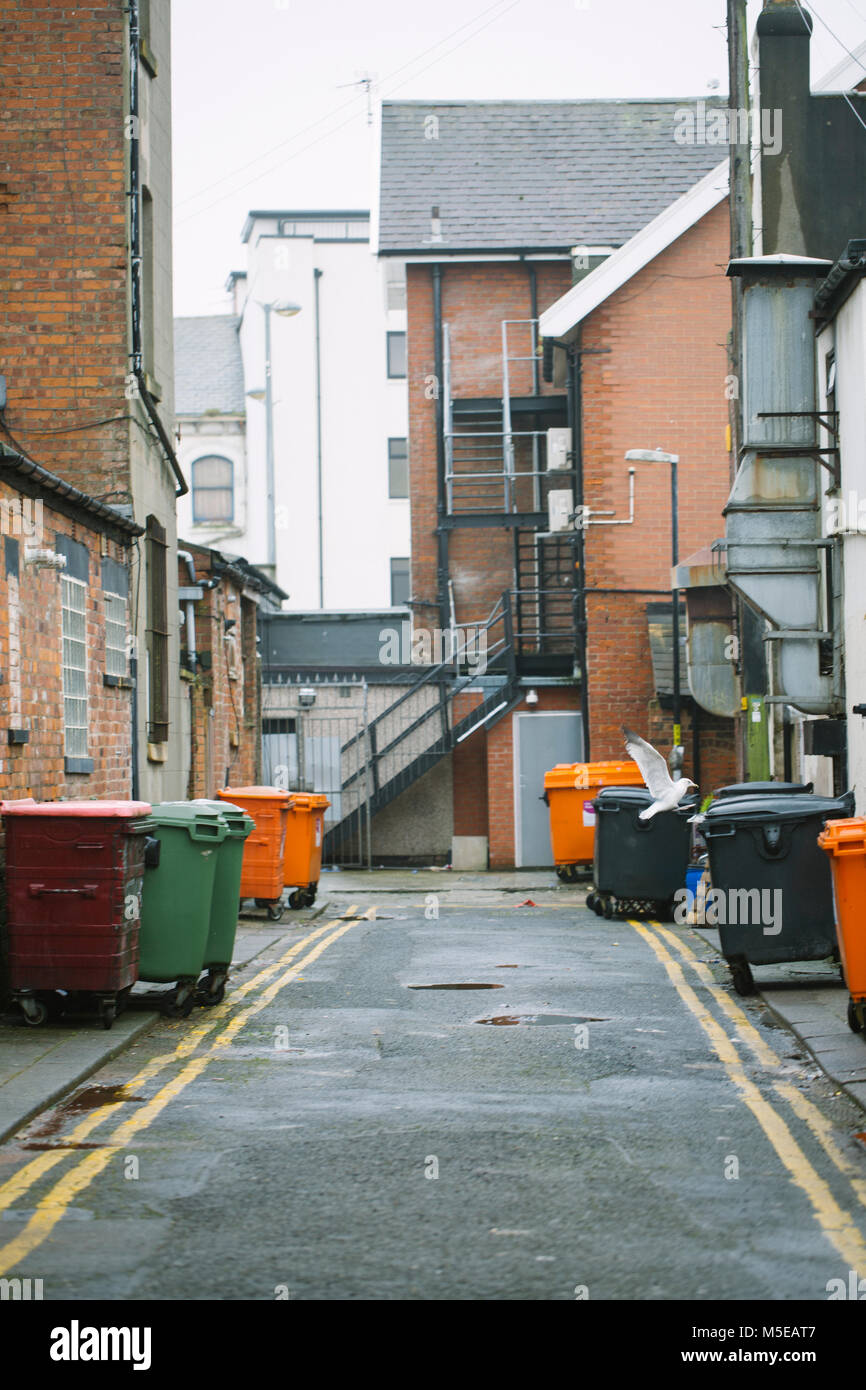 Rubbish container on the street Stock Photo - Alamy
