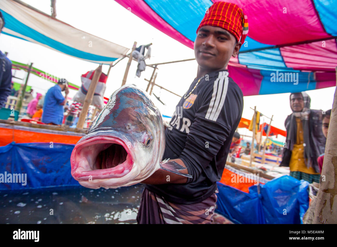 Katala hi-res stock photography and images - Alamy