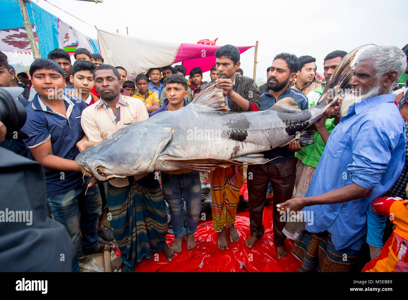 Weighing fish historical hi-res stock photography and images - Alamy