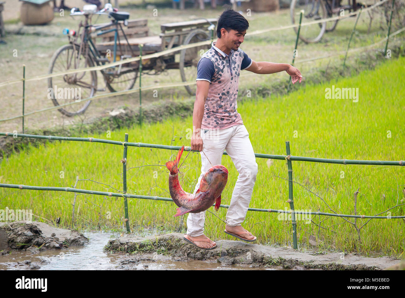 A young boy is returning home after purchasing two fish from the fair ...