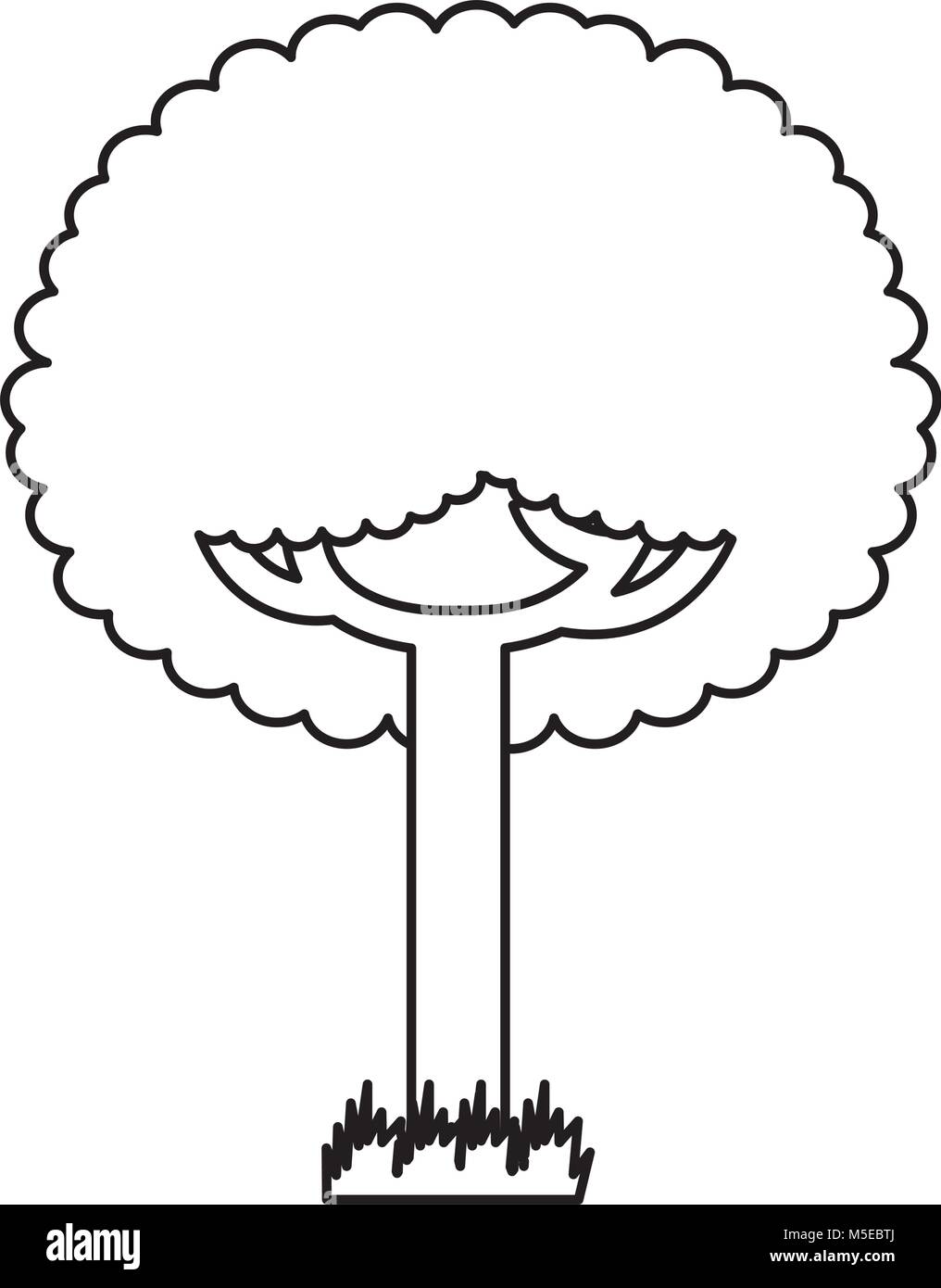 Leaf tree spring leafy Black and White Stock Photos & Images - Alamy