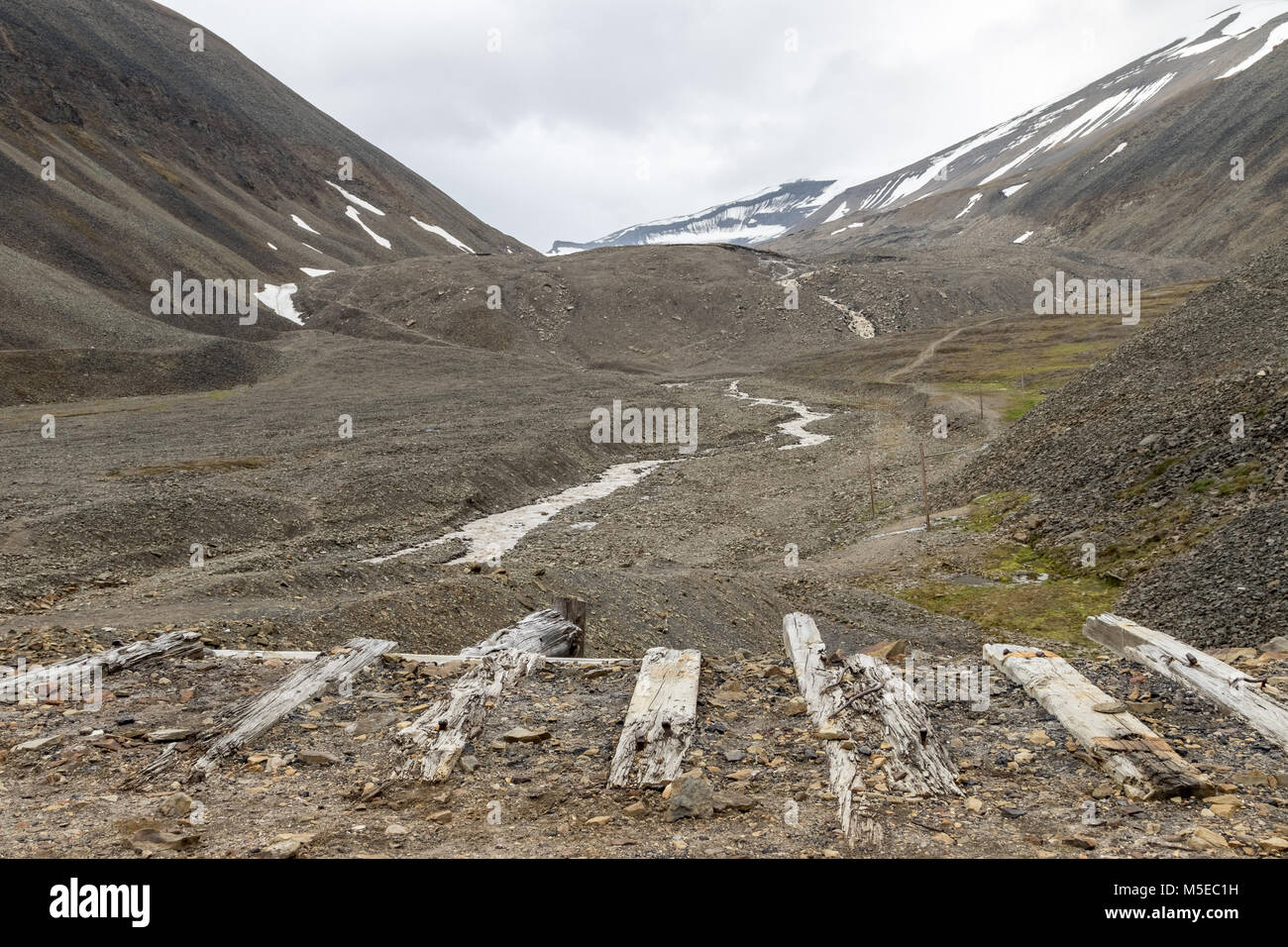 Old wooden logs, used for the coal mining industry, in the landscape of ...