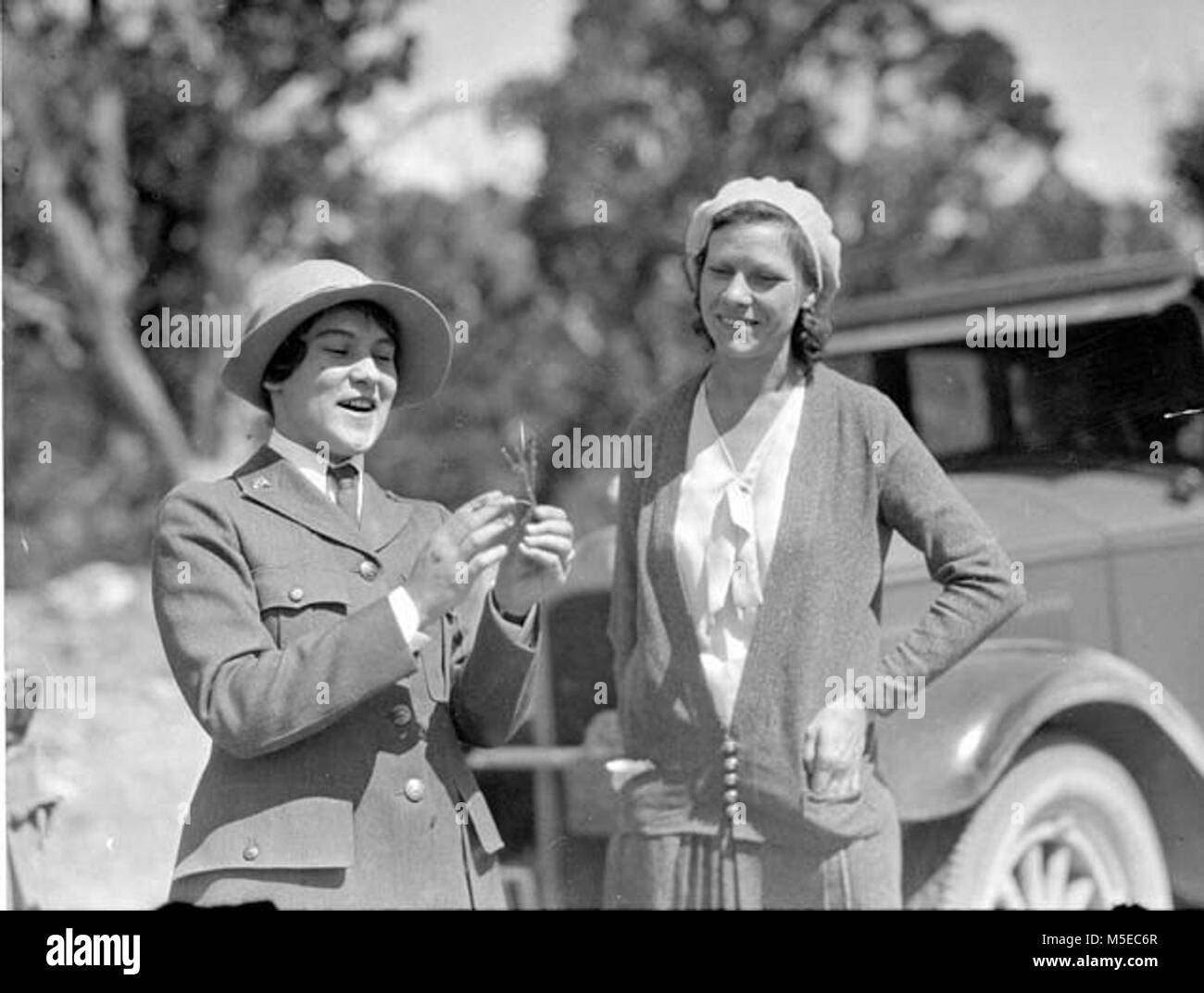 Grand Canyon Naturalist Polly Patraw AUTO CARAVAN ON E RIM DRIVE ...