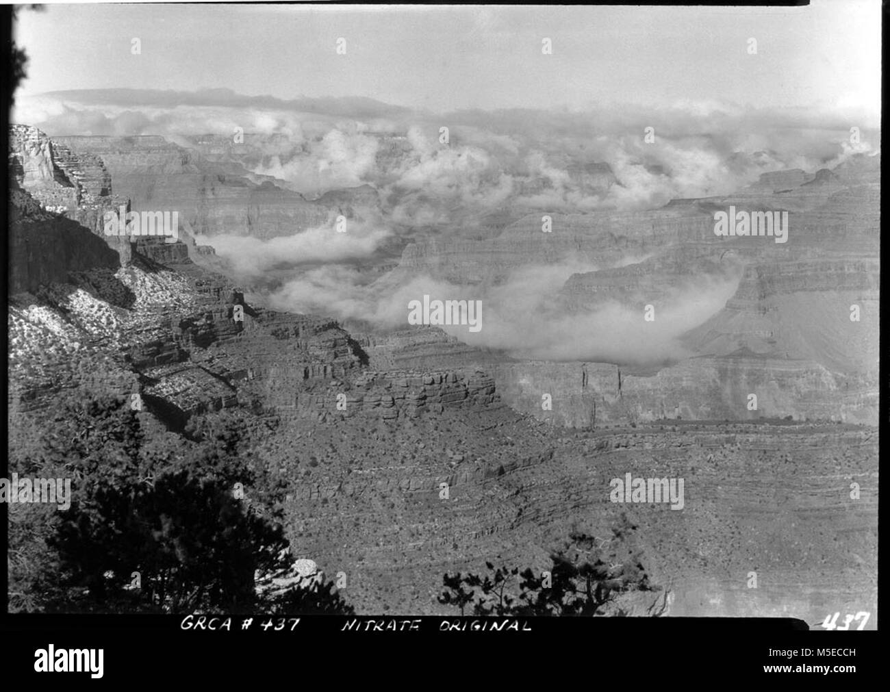 Grand Canyon Yavapai Point VIEW OF CANYON LOOKING W FROM YAVAPAI POINT ...