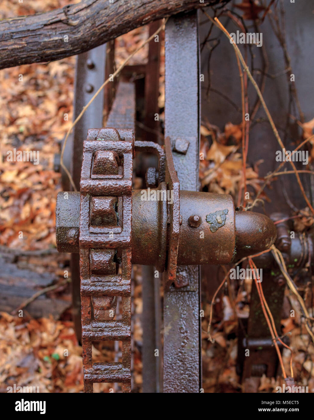 Rusty metal and nature Stock Photo - Alamy