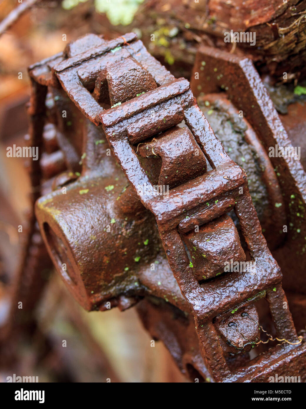 Rusty metal and nature Stock Photo - Alamy