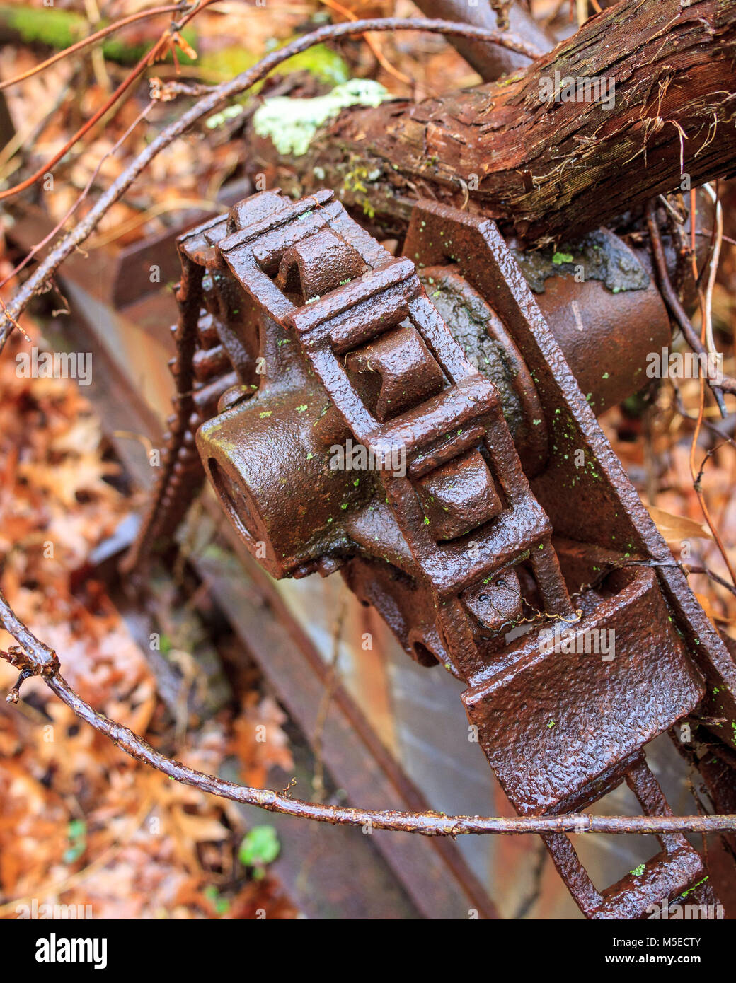 Rusty metal and nature Stock Photo - Alamy
