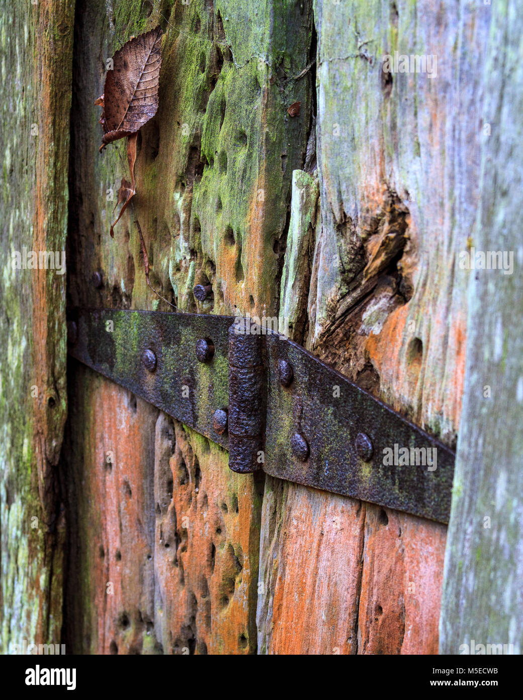 Rusty metal and nature Stock Photo - Alamy