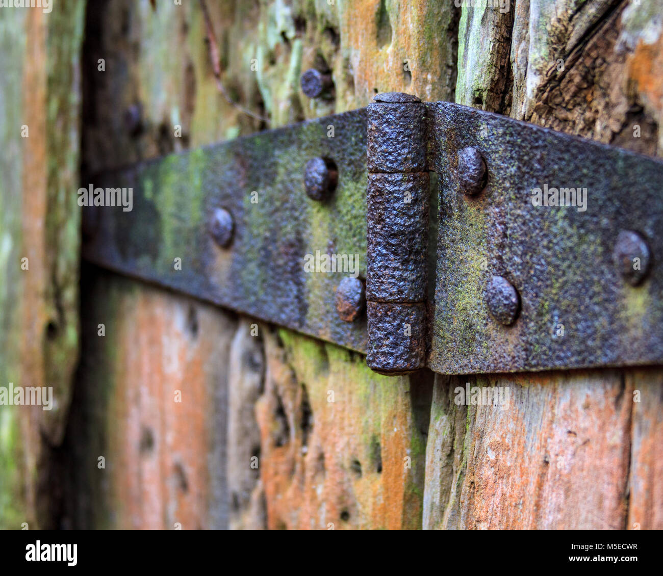 Rusty metal and nature Stock Photo - Alamy