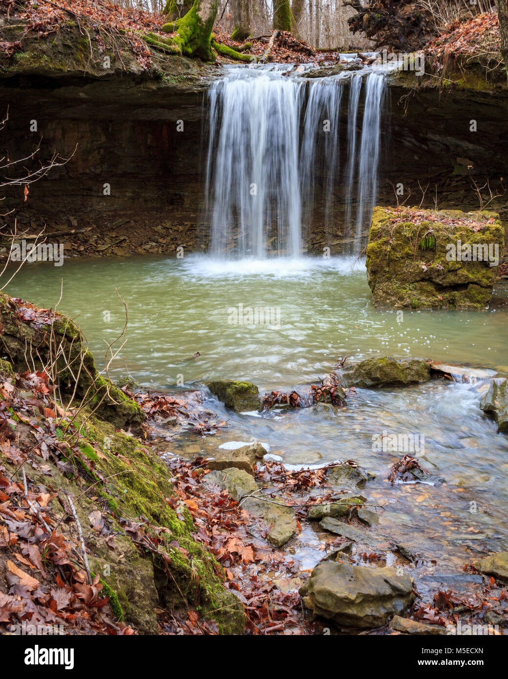 Indiana moss hi-res stock photography and images - Alamy