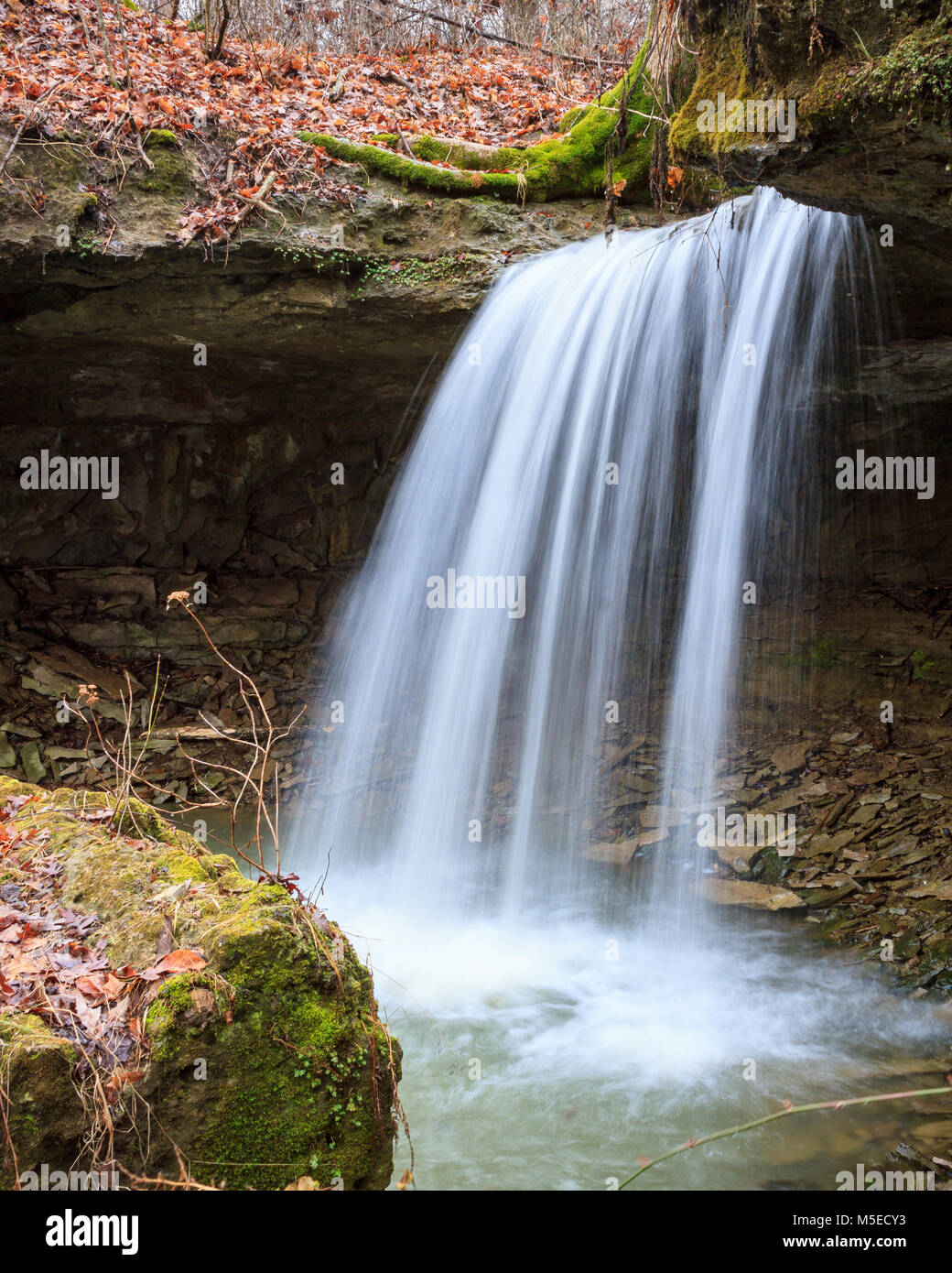 Indiana Woodland Scenes Stock Photo - Alamy