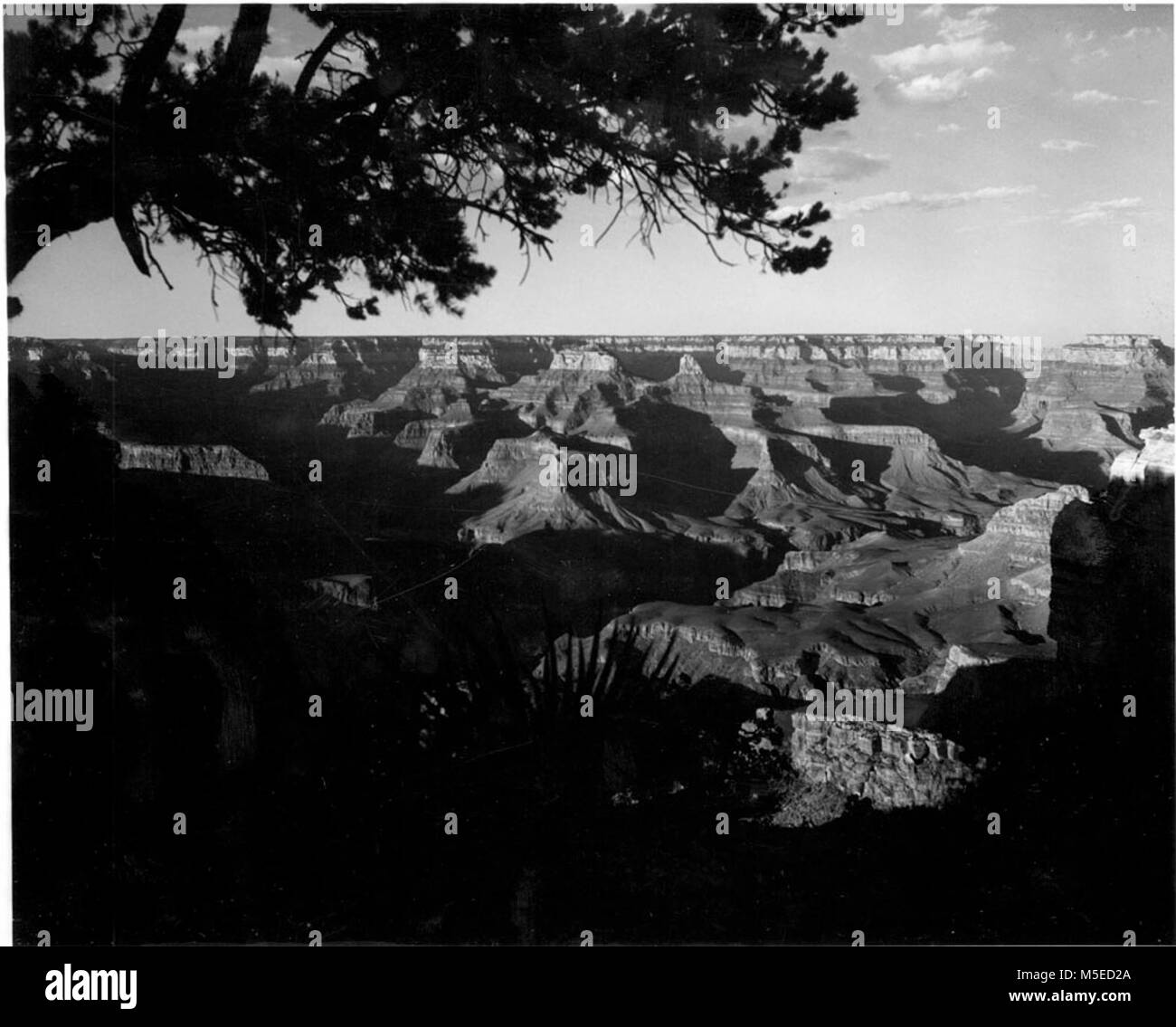 Grand Canyon Powell Point SCENIC VIEW OF GRAND CANYON FROM THE HOGAN ...