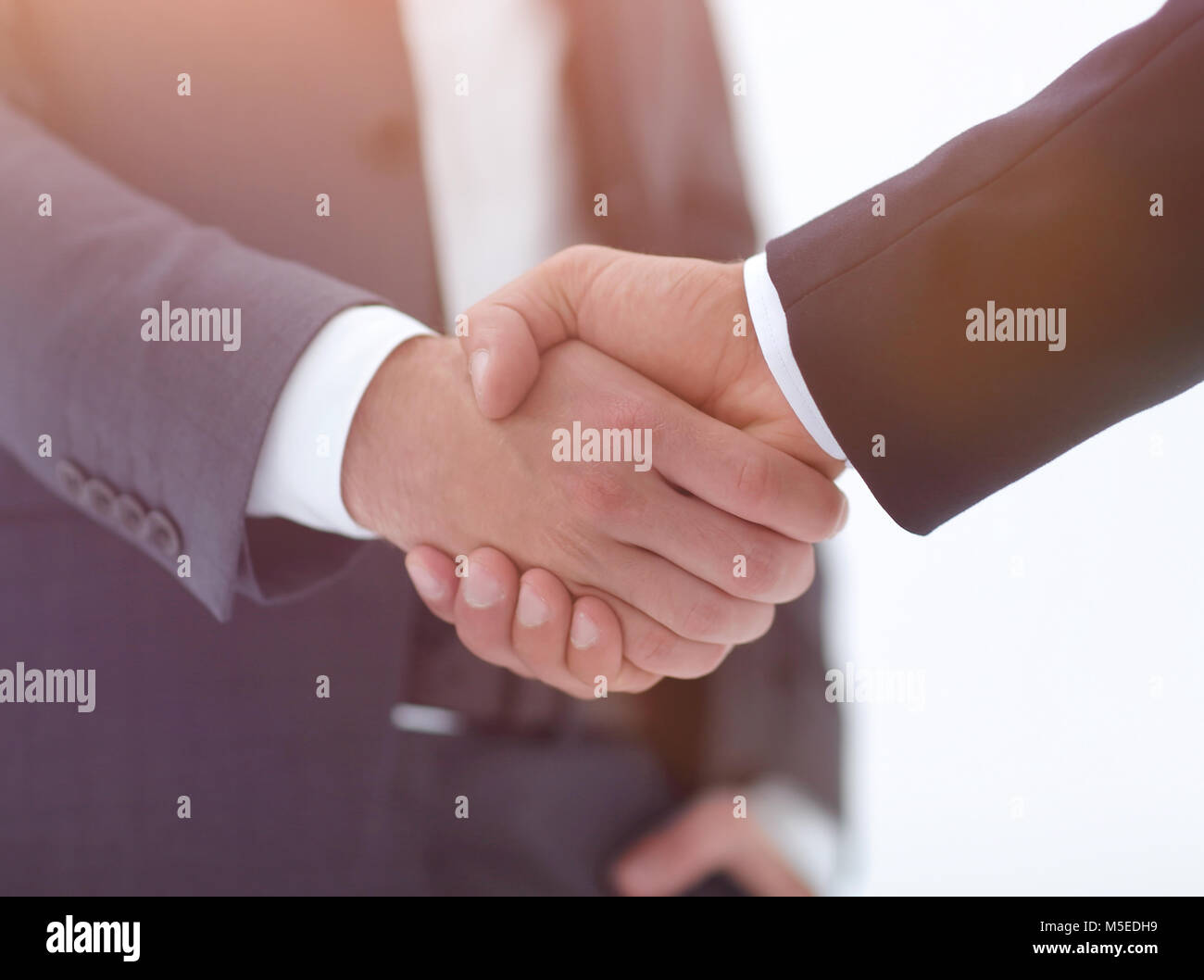 close up of two young male business partner shake hand Stock Photo - Alamy