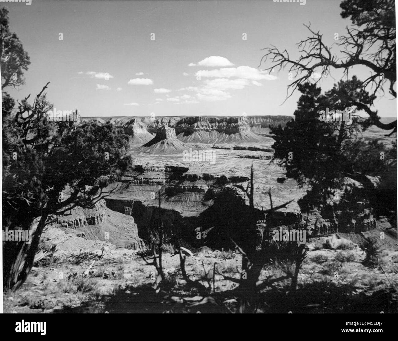Grand Canyon Boysag Point GRAND CANYON FROM BOYSAG POINT, WITH MT ...