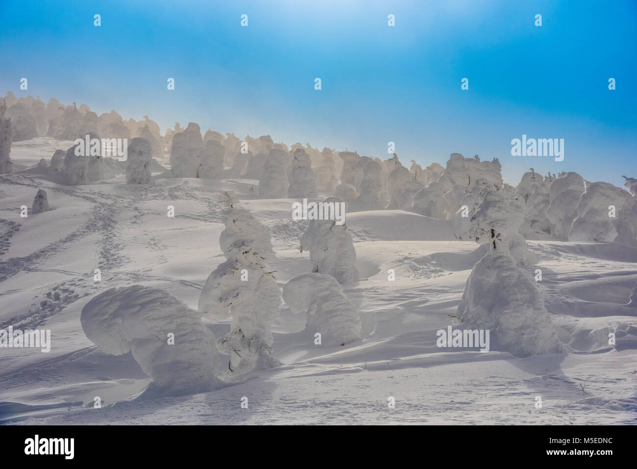 very beautiful snow monster at zao mountain , yamagata japan Stock ...