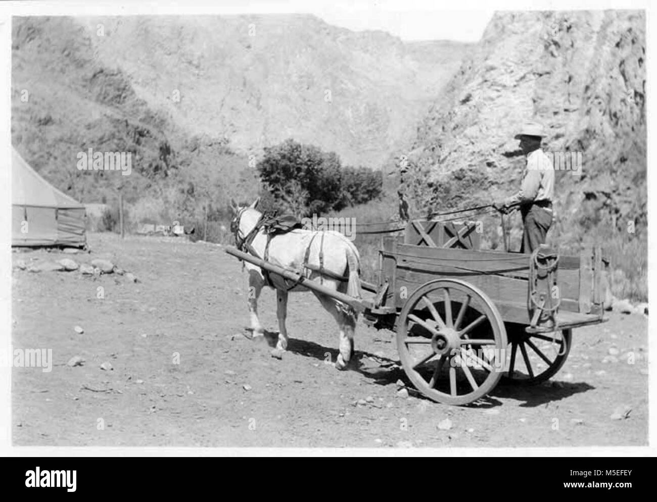 Grand Canyon Historic- Phantom Ranch Scene GARBAGE DISPOSAL NEAR ...