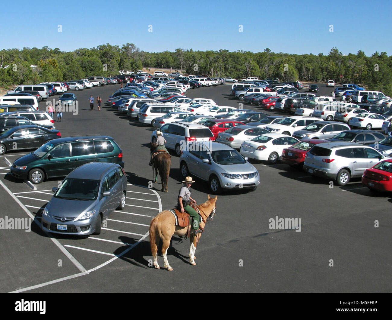 L Grand CanyonVisitor Center Parking Lot Horse Patrol South Rim Visitor ...