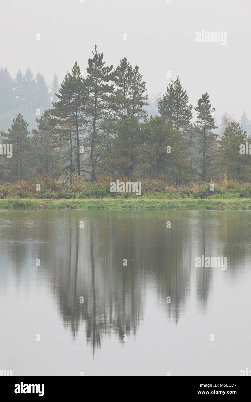 Fall chill hi-res stock photography and images - Alamy