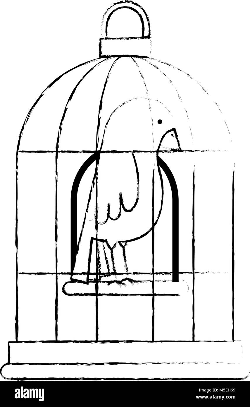 cute bird in cage Stock Vector Image & Art - Alamy