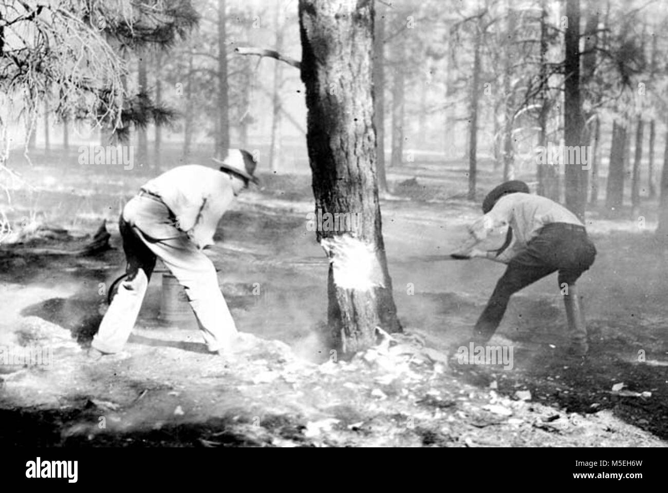 Grand Canyon- Cutting a Fire Line RANGER, WARREN HAMILTON & MARV ADAMS ...