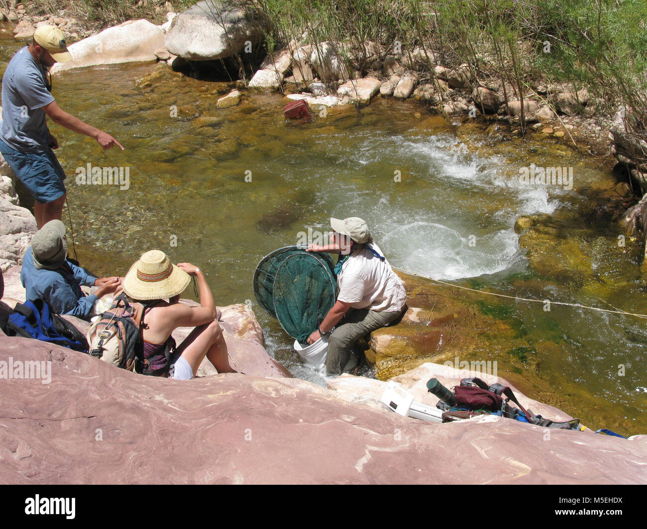 Grand CanyonHumpback Chub Translocation in Shinumo Creek 2010 Humpback ...