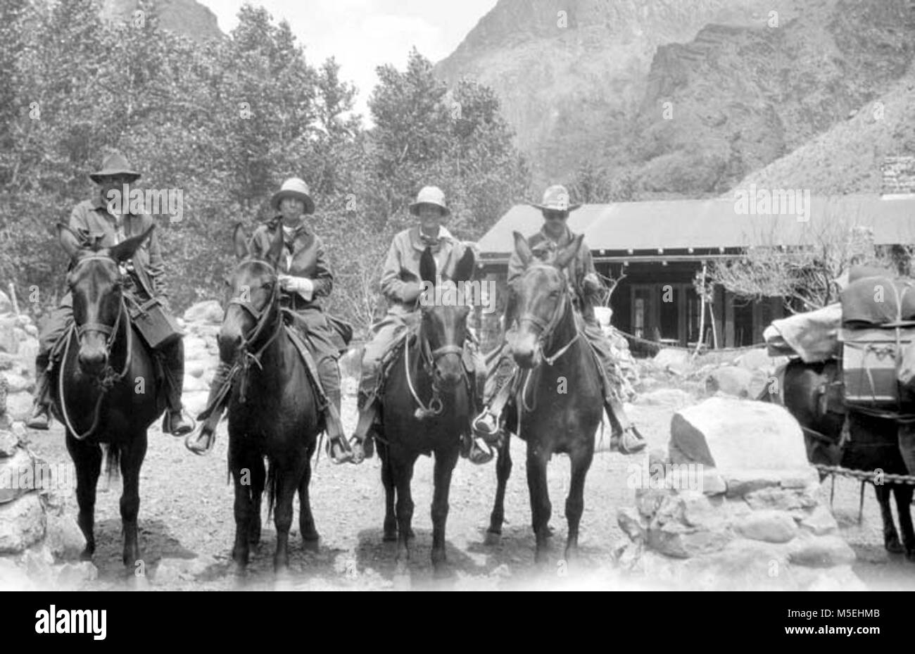 Grand Canyon Historic - Phantom Ranch Guests on Mules MULE PARTY OF A ...
