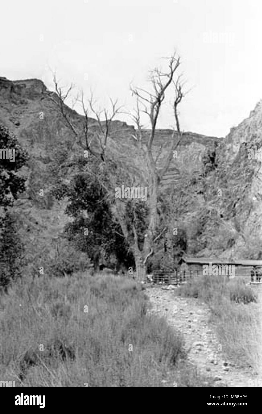 Grand Canyon Historic - Phantom Ranch Hazard Trees PHANTOM RANCH AREA ...