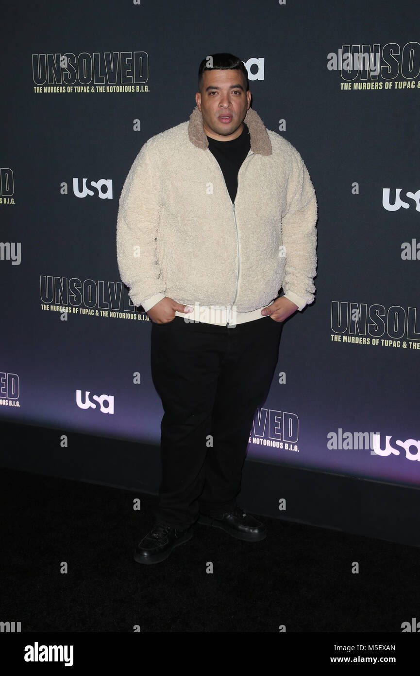 HOLLYWOOD, CA - FEBRUARY 22: Jason Lee, at Premiere Of USA Network's ...