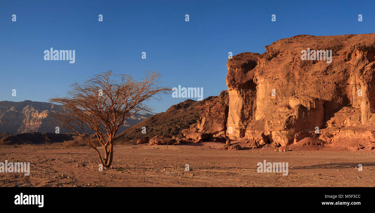 King Solomon's Pillars, Timna Valley, Israel Stock Photo - Alamy