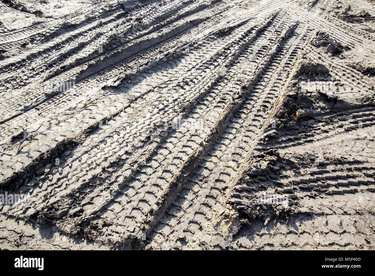 Texture of wheel track on the mud Stock Photo - Alamy
