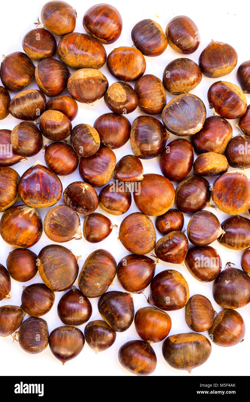 Group of edible chestnuts. Dark background Stock Photo - Alamy