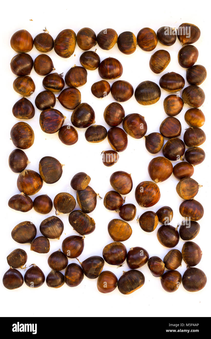 Group of edible chestnuts. Dark background Stock Photo - Alamy