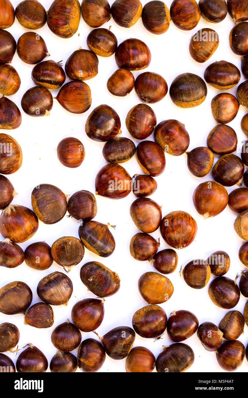 Group of edible chestnuts. Dark background Stock Photo - Alamy