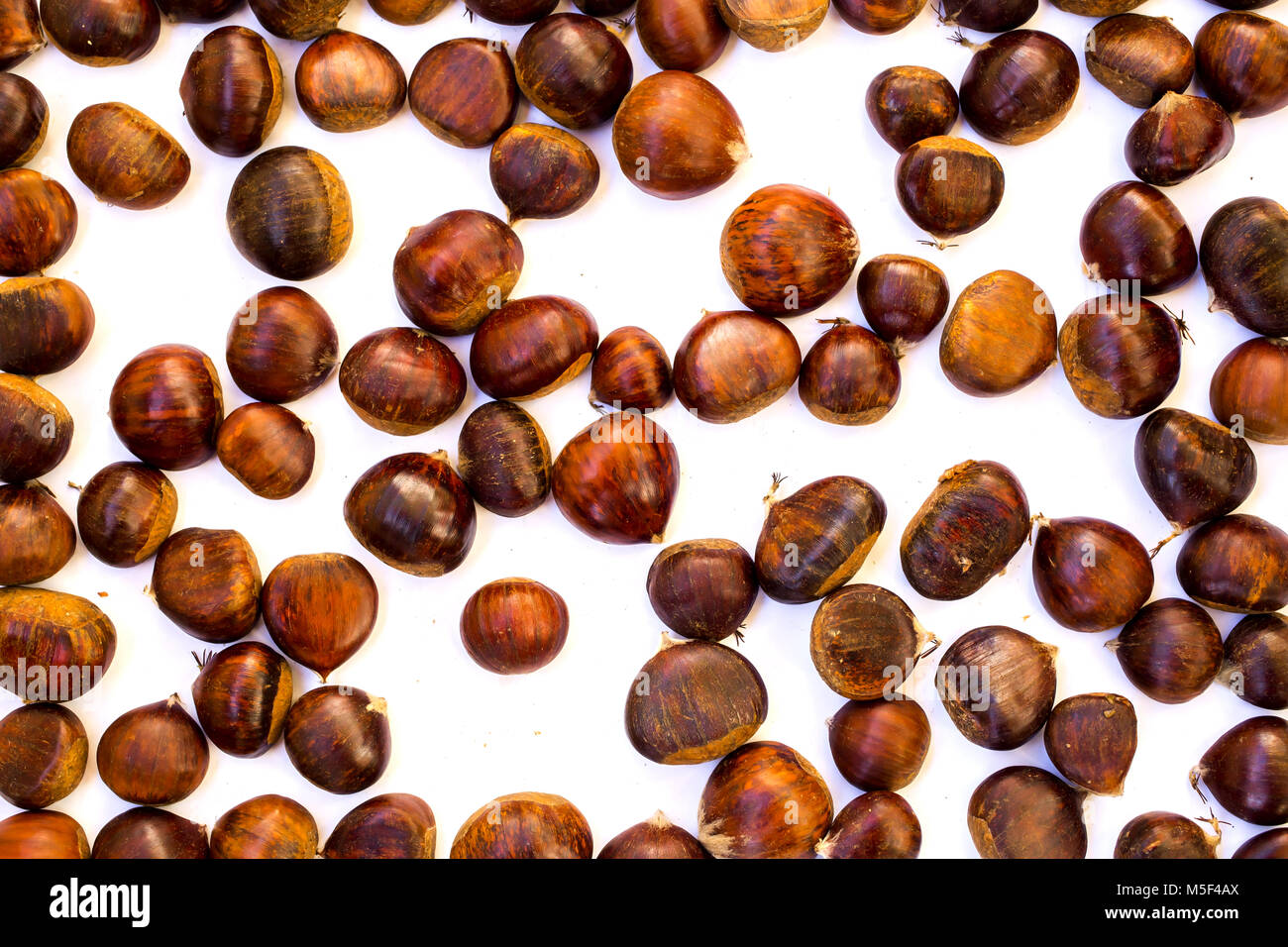 Group of edible chestnuts. Dark background Stock Photo - Alamy