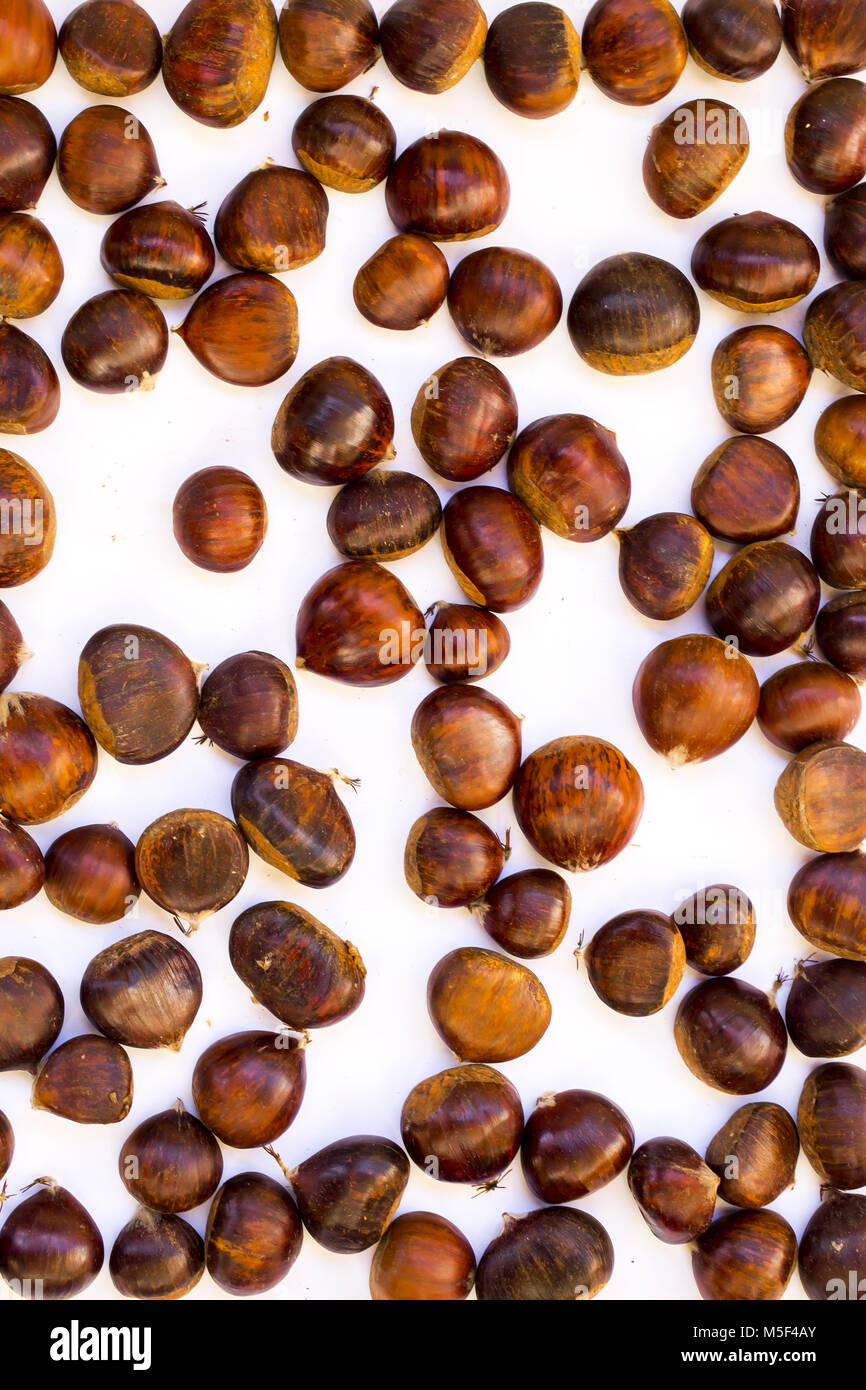 Group of edible chestnuts. Dark background Stock Photo - Alamy