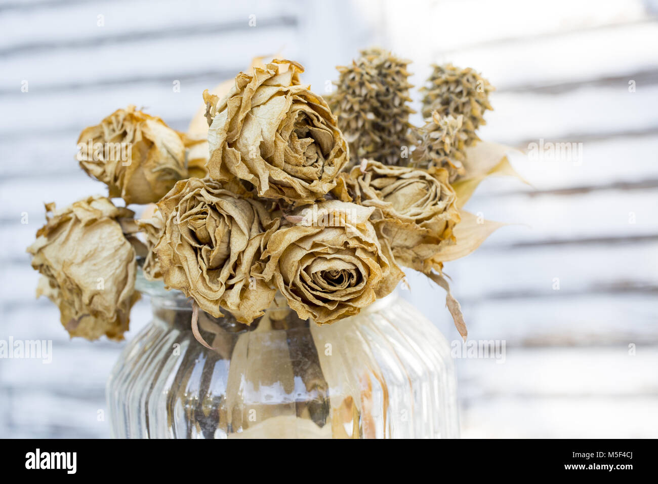 dry roses and basil in a vase Stock Photo - Alamy