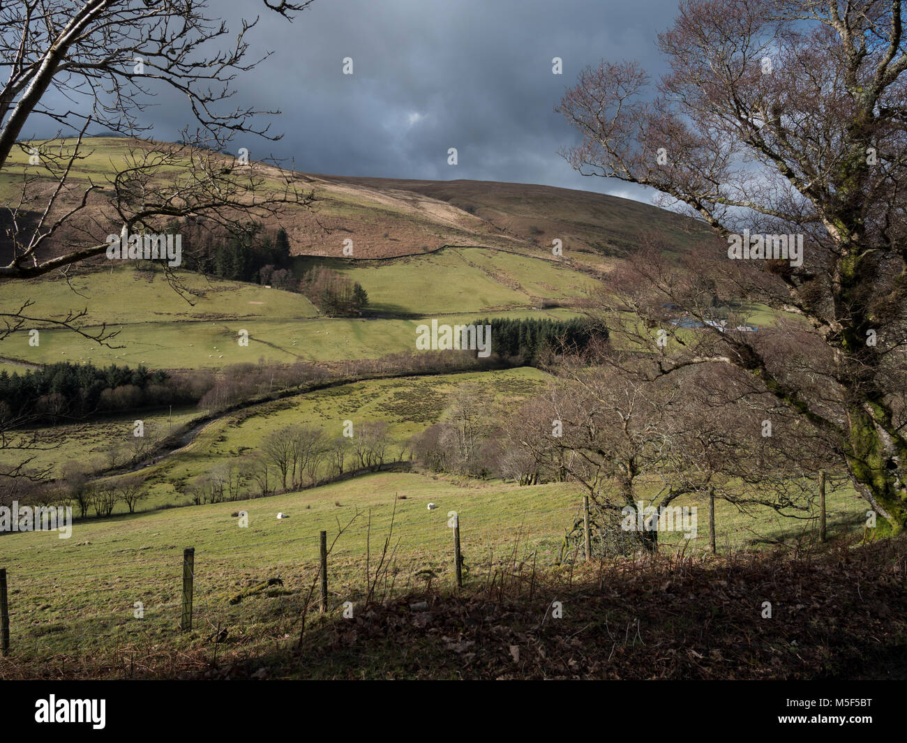 The rugged landscape of southern Snowdonia, Wales Stock Photo - Alamy
