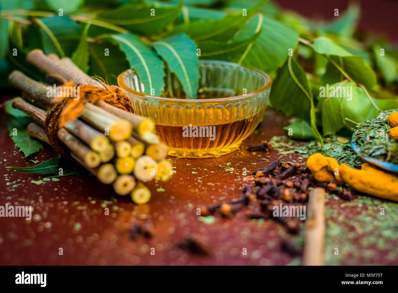 Powder of Indian lilac,Azadirachta indica in a glass plate with its ...