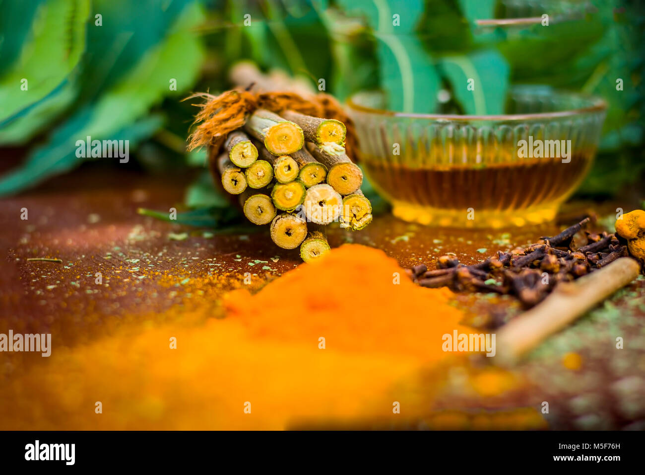 Powder of Indian lilac,Azadirachta indica in a glass plate with its ...