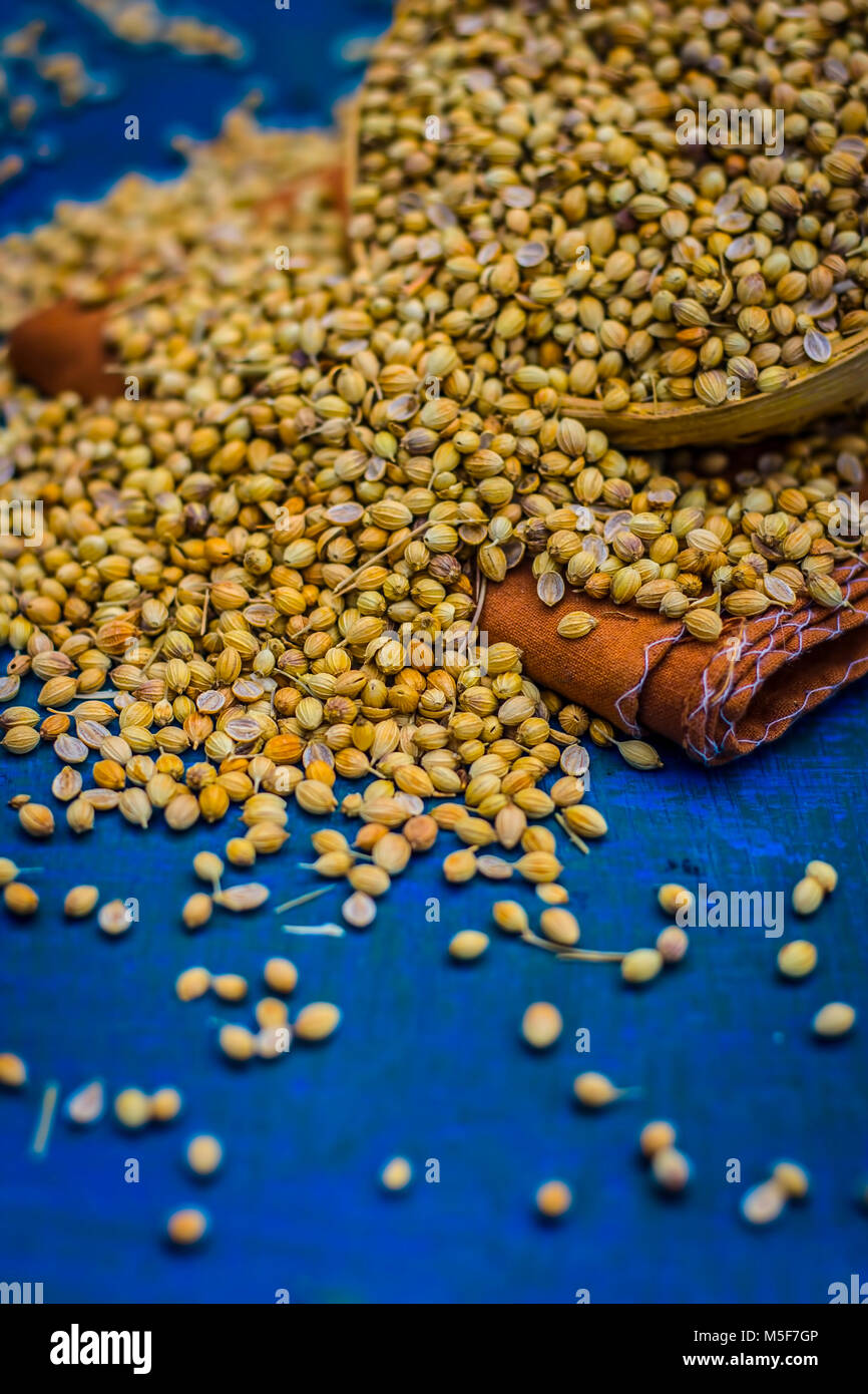 Close up of spice coriander seeds,Coriandrum sativum in a traditional basket Stock Photo - Alamy