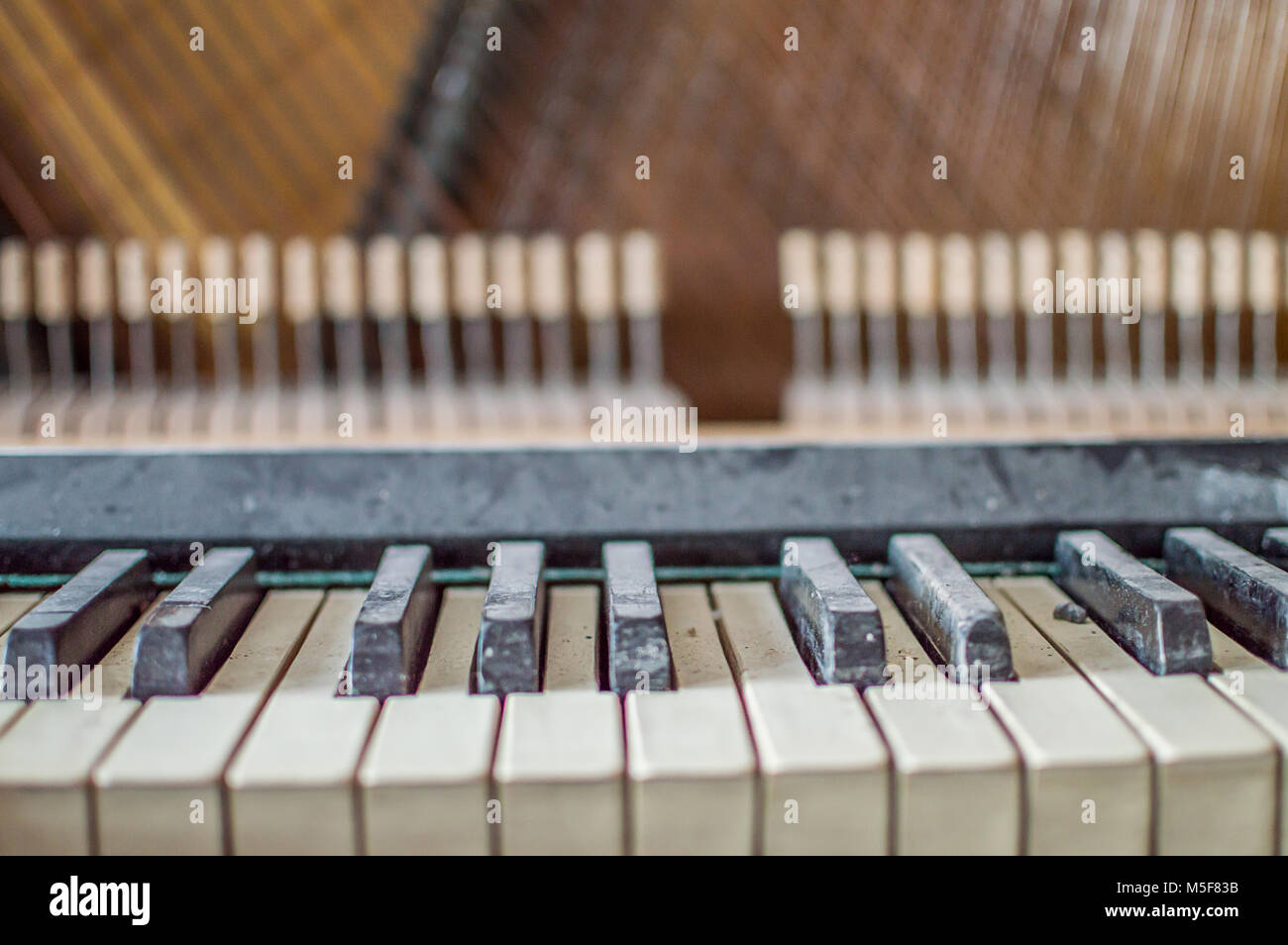 Stage of decomposition hi-res stock photography and images - Alamy