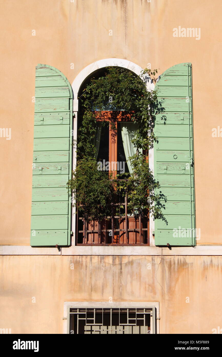 Typical renaissance window in Venice, Italy Stock Photo - Alamy
