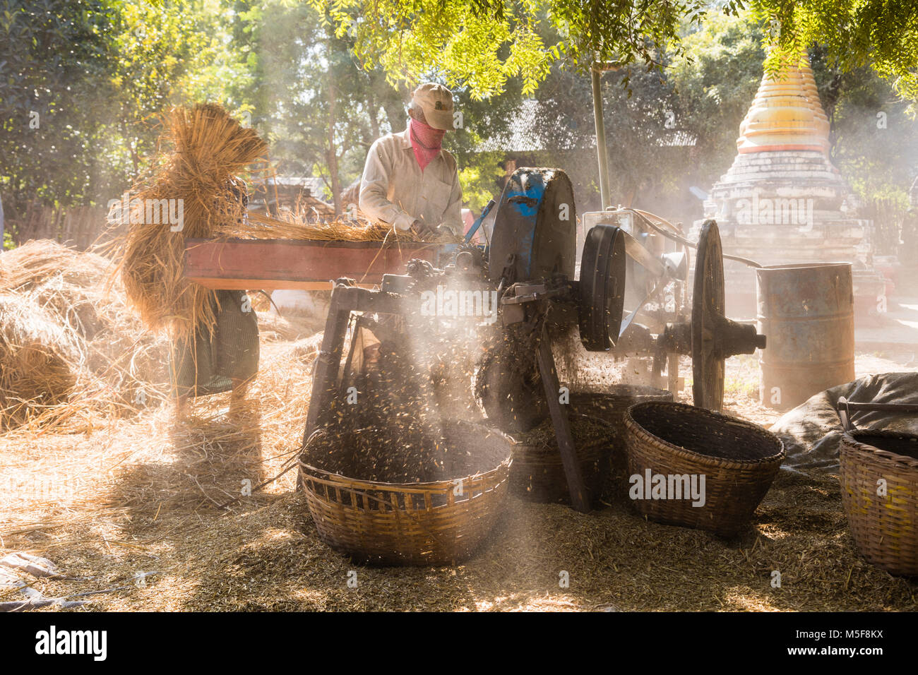 Bagan farm workers hi-res stock photography and images - Alamy