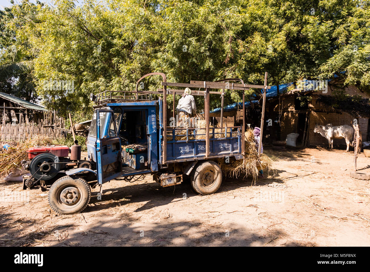 Bagan farm workers hi-res stock photography and images - Alamy