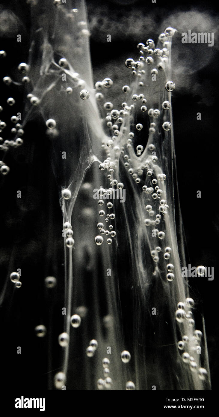 Abstract Water with egg yolk Stock Photo - Alamy