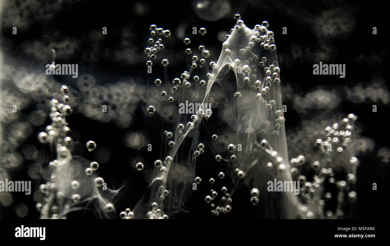 Abstract Water with egg yolk Stock Photo - Alamy
